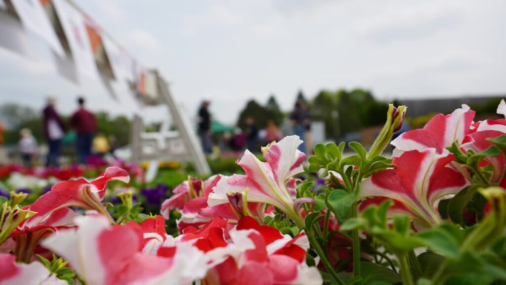 Events from May 20, 2024 – December 12, 2024 – Visit West Bend, Wisconsin